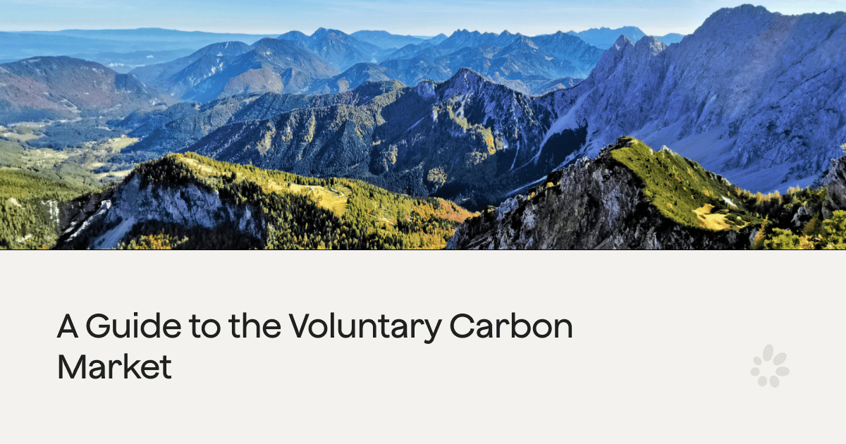 A Guide to the Voluntary Carbon Market (VCM)